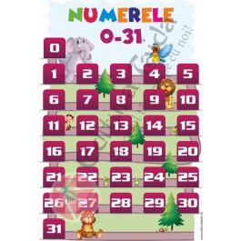 PLANSA NUMERELE DE LA 0 LA 31 (Taida)